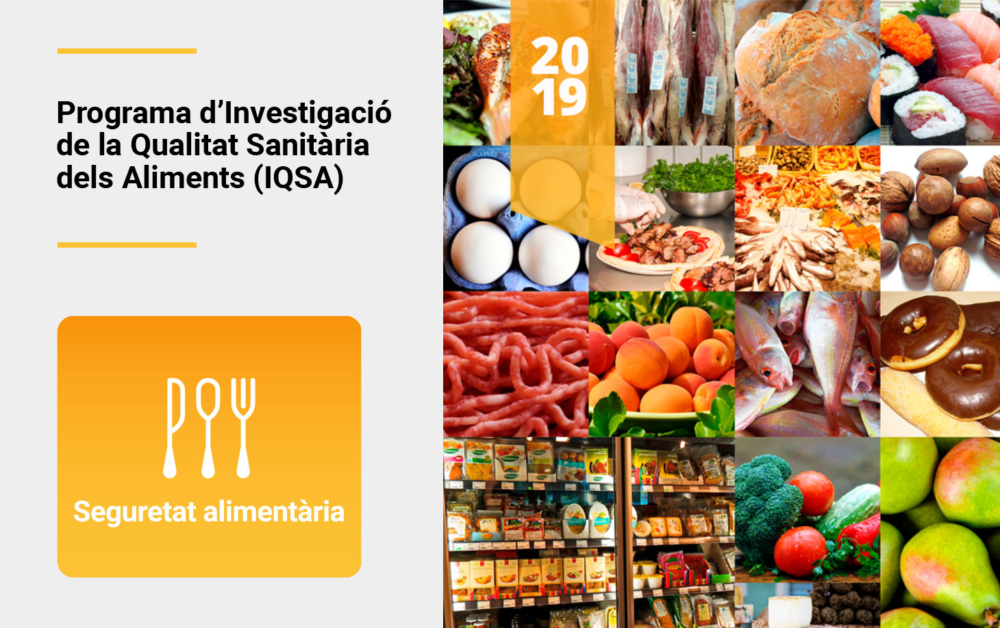 Programa d’Investigació de la Qualitat Sanitària dels Aliments (IQSA ...